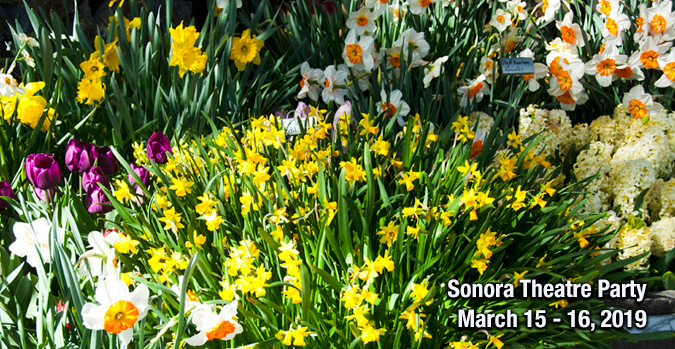 Setness Tours - Stockton, California